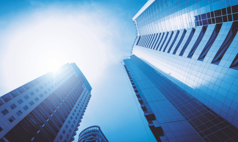 What is a "Per Se" Corporation?